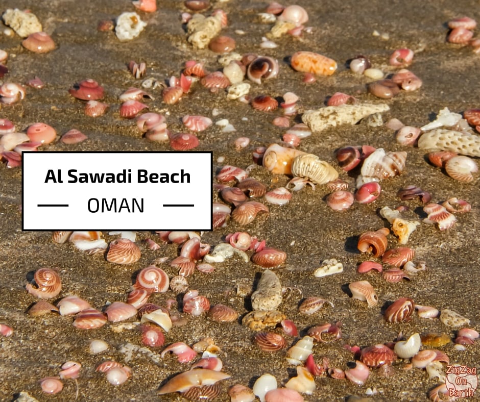Al Sawadi Beach (Oman) - Visit tips + photos of the pink shells and islands