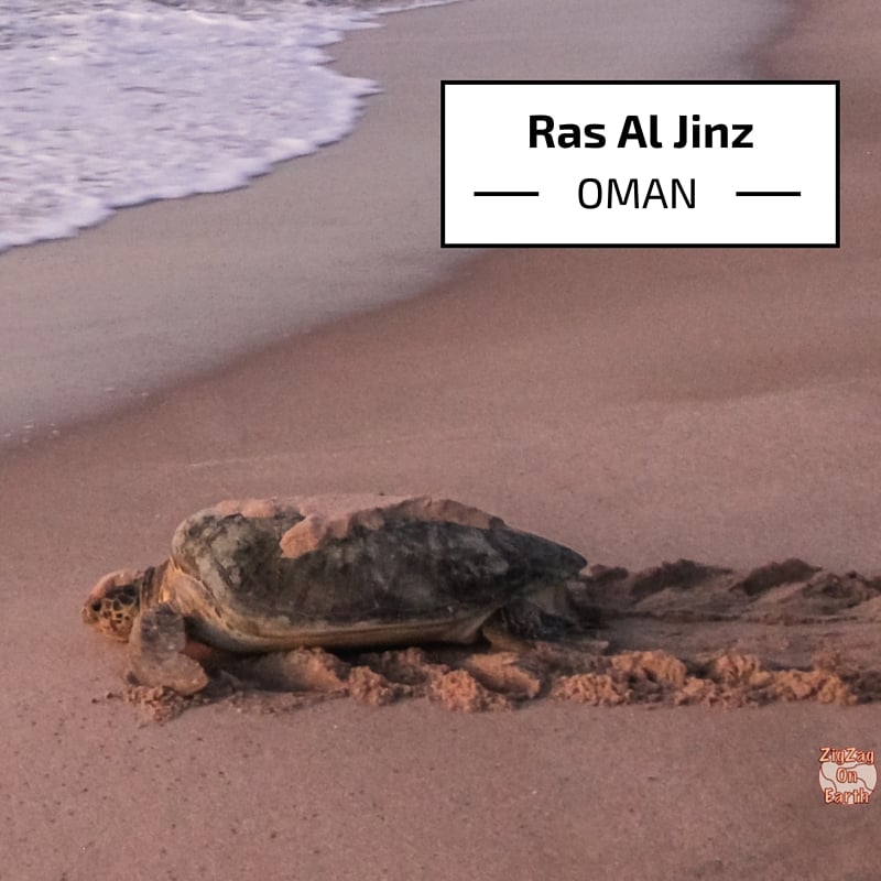 Best of OMAN Tourism - Travel Guide (+ Maps + Photos + things to do)