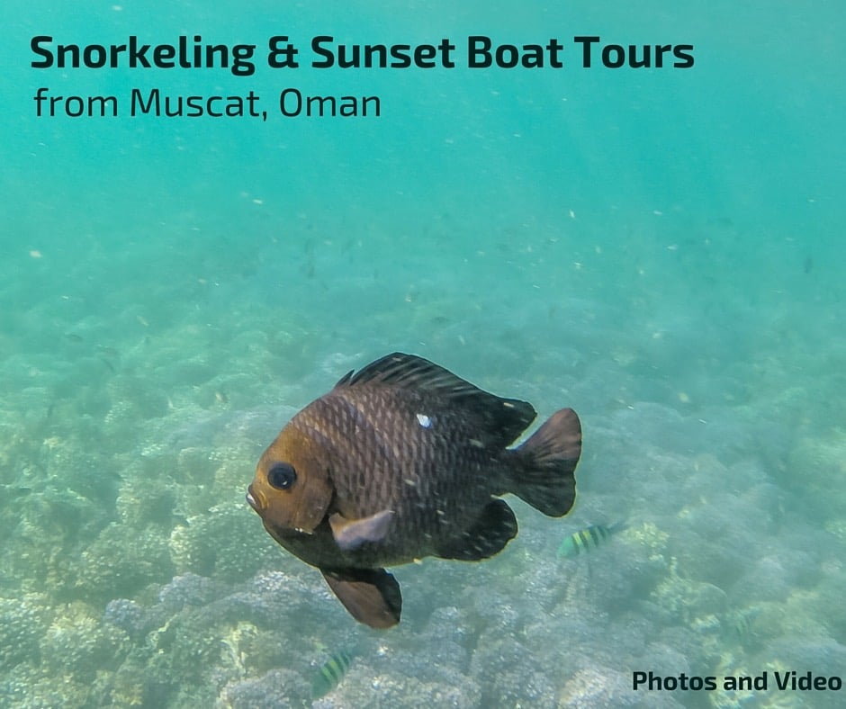 Muscat Boat Tours (Oman) - Snorkeling + Sunset options
