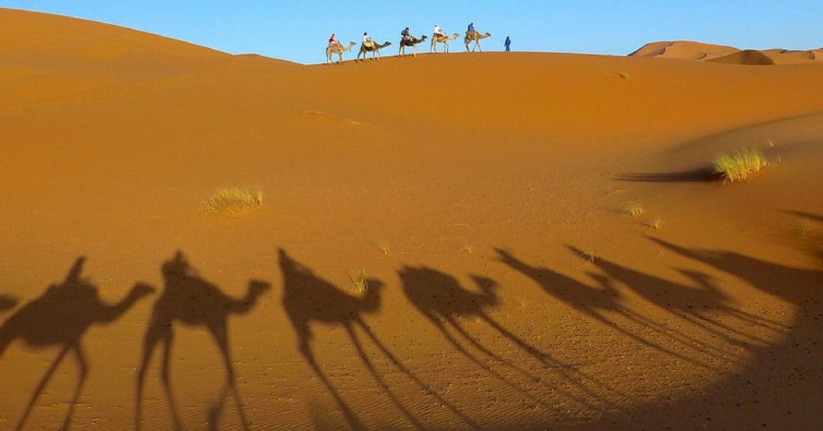 Best Marrakech Desert Tours, Excursions and Day Trips (with photos!)