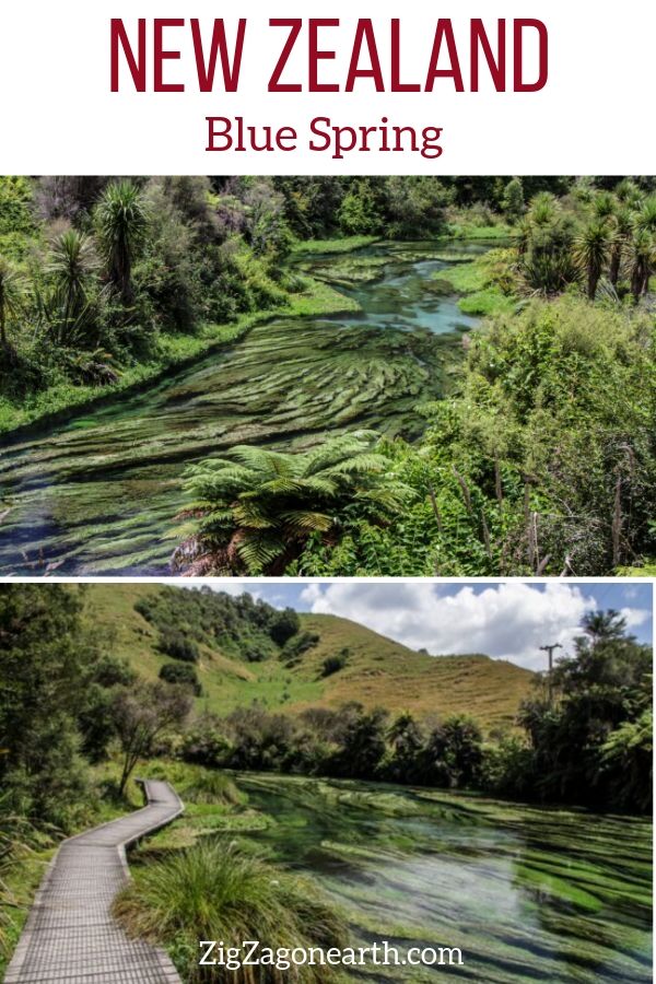 Fascinating Blue Spring (New Zealand) - Access + Tips + Photos