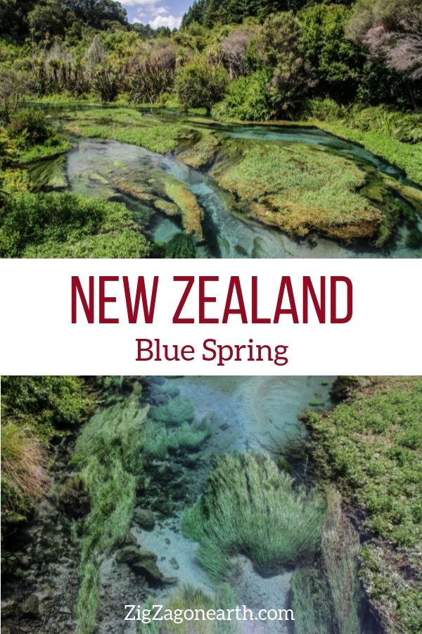 Fascinating Blue Spring (New Zealand) - Access + Tips + Photos