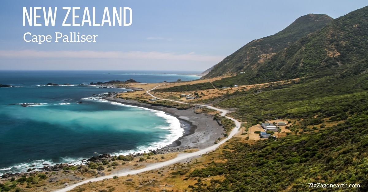 Cape Palliser vuurtoren en zeehonden (Nieuw-Zeeland) - Tips + Foto's